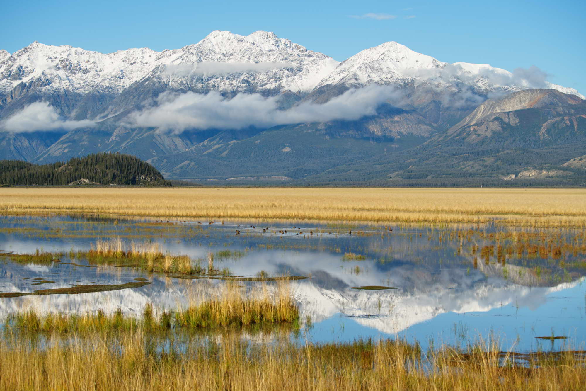 Hiking adventure in the colourful mountains of Kluane National Park